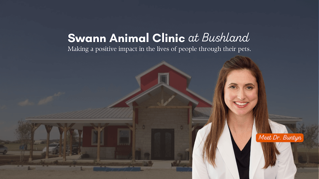 Swann Animal Clinic at Bushland | Swann Animal Clinic