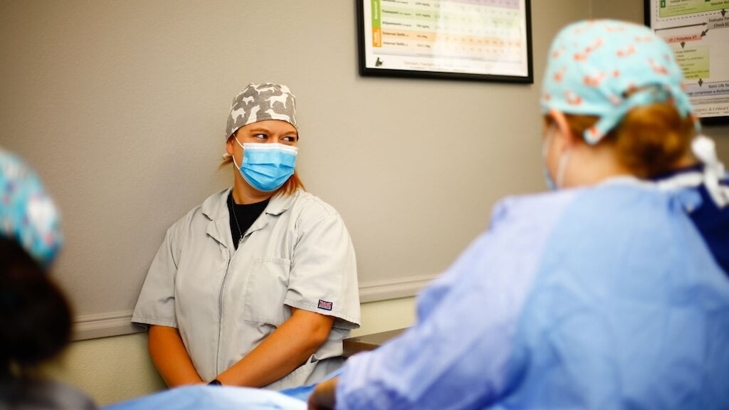 Pet Specialty Services And Diagnostics | Swann Animal Clinic