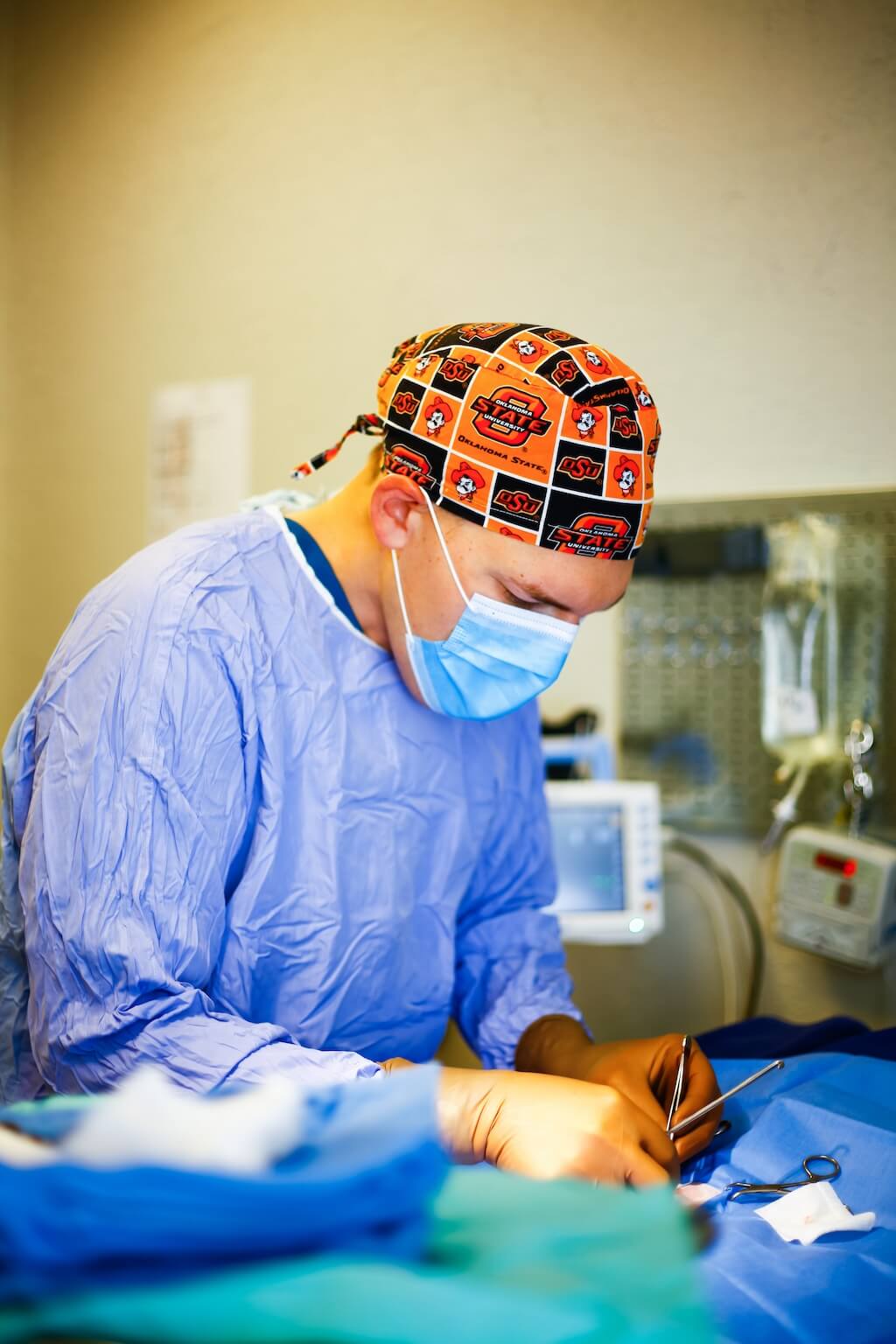 Pet Surgery | Swann Animal Clinic