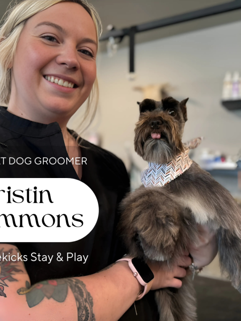 Meet Our Team | Swann Animal Clinic